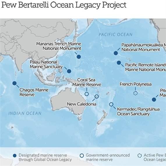 Can Marine Protected Areas Save The Ocean The Pew Charitable Trusts