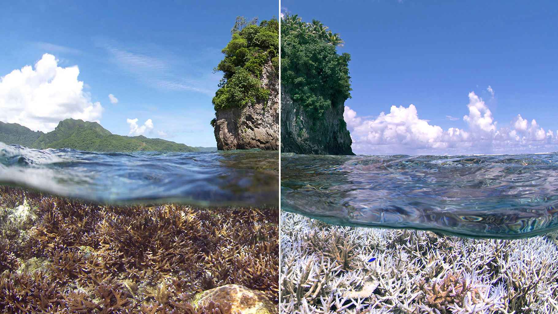 Can We Protect The Ocean By 2030 The Pew Charitable Trusts
